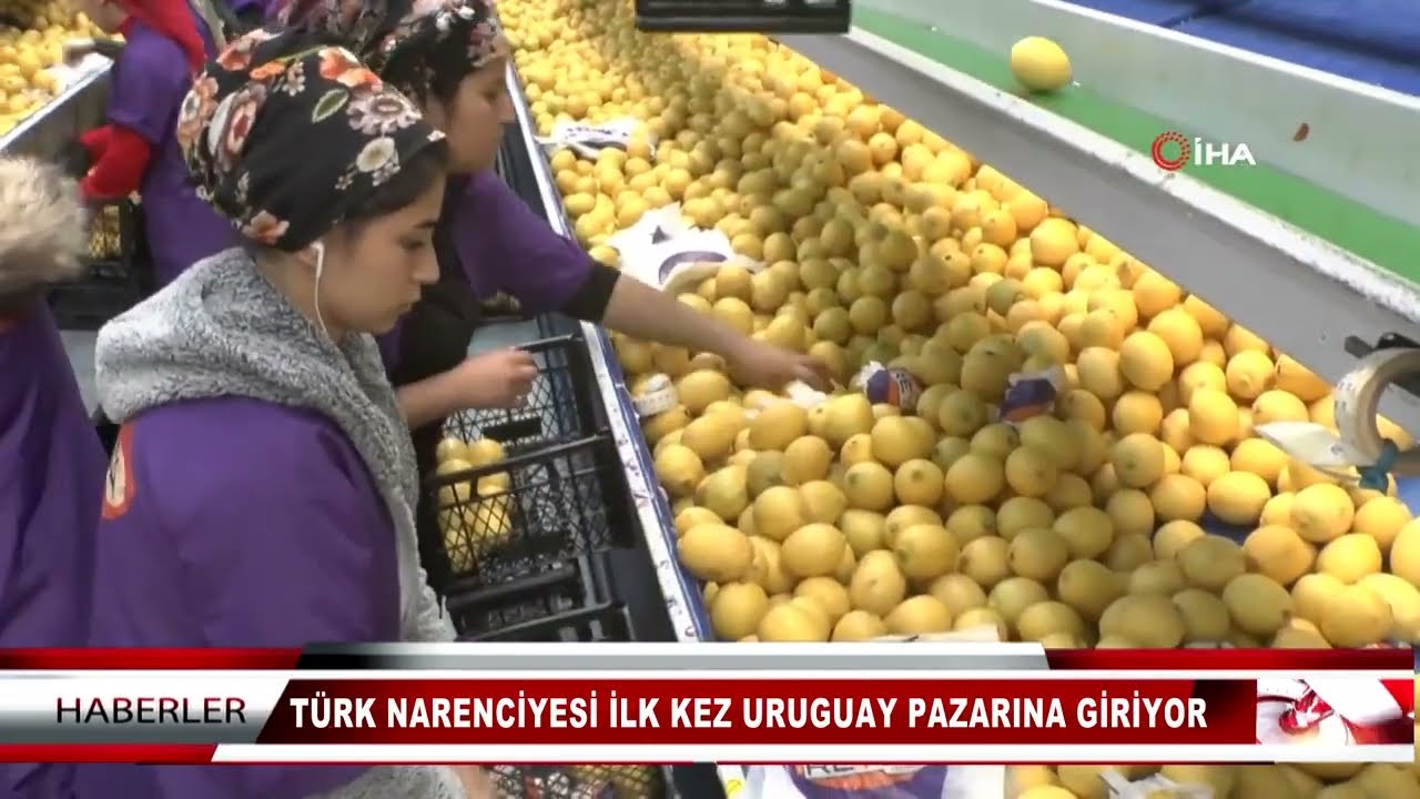 Bulduk Gıda | Fresh Fruits &Vegetables