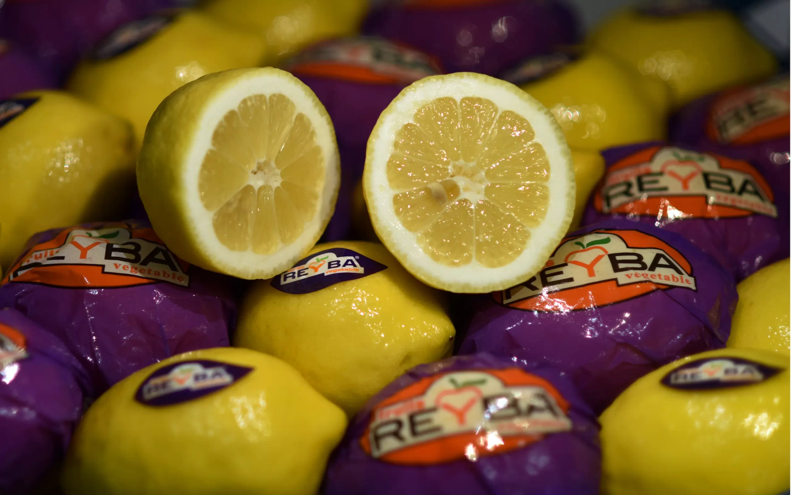 Bulduk Gıda | Fresh Fruits &Vegetables